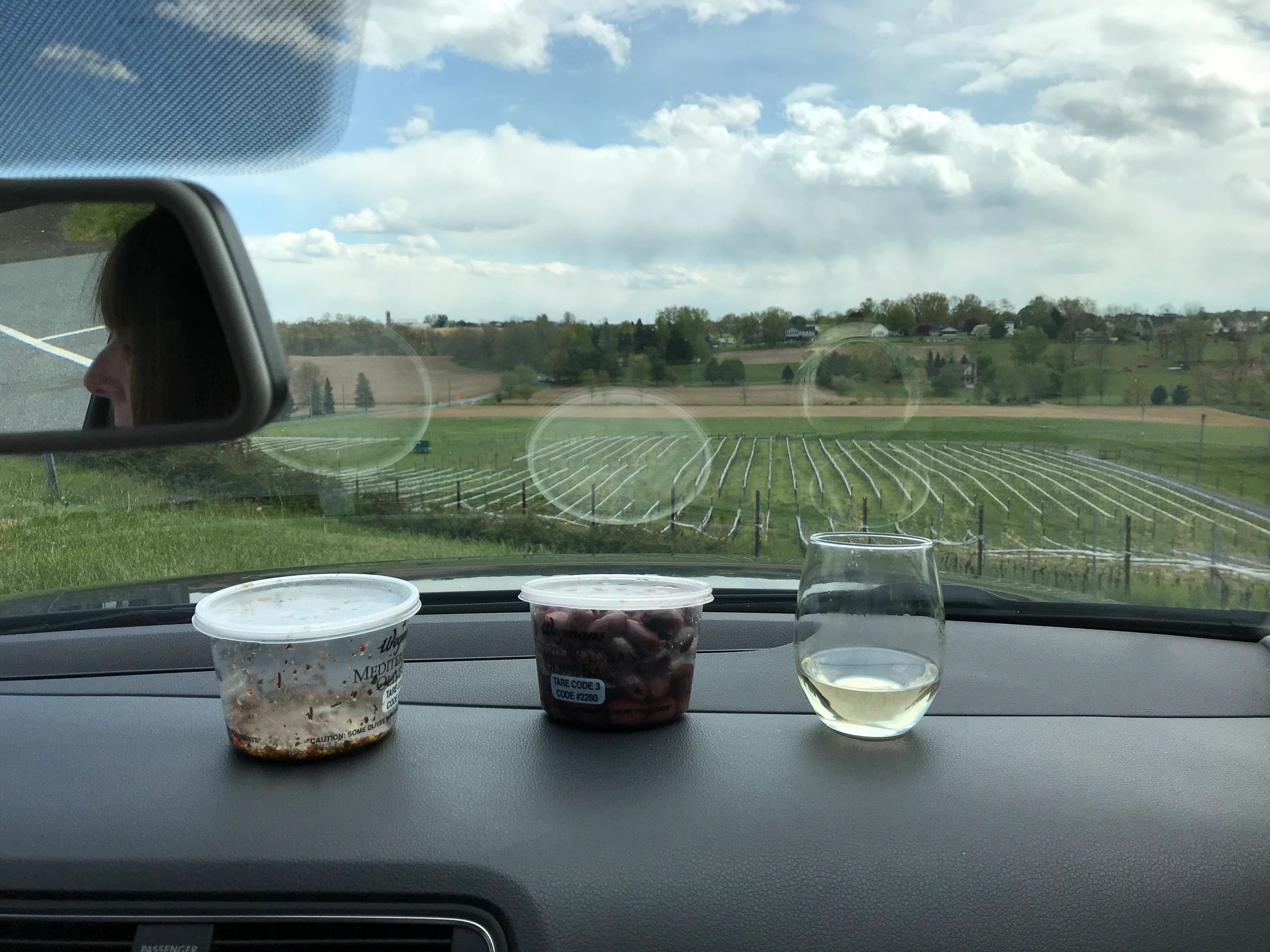 Pandemic Picnic in the Car