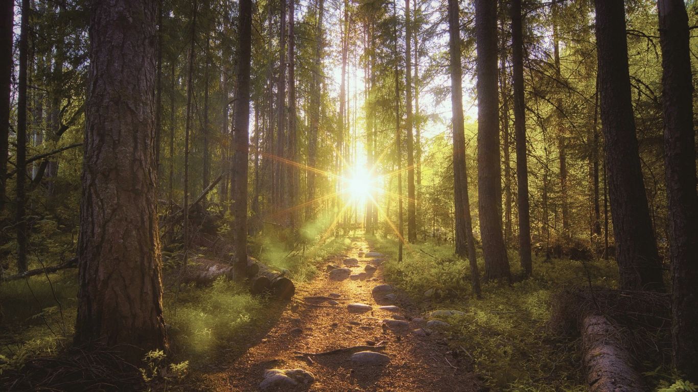 Find a Holistic Therapist in California | Holistic Path Therapy