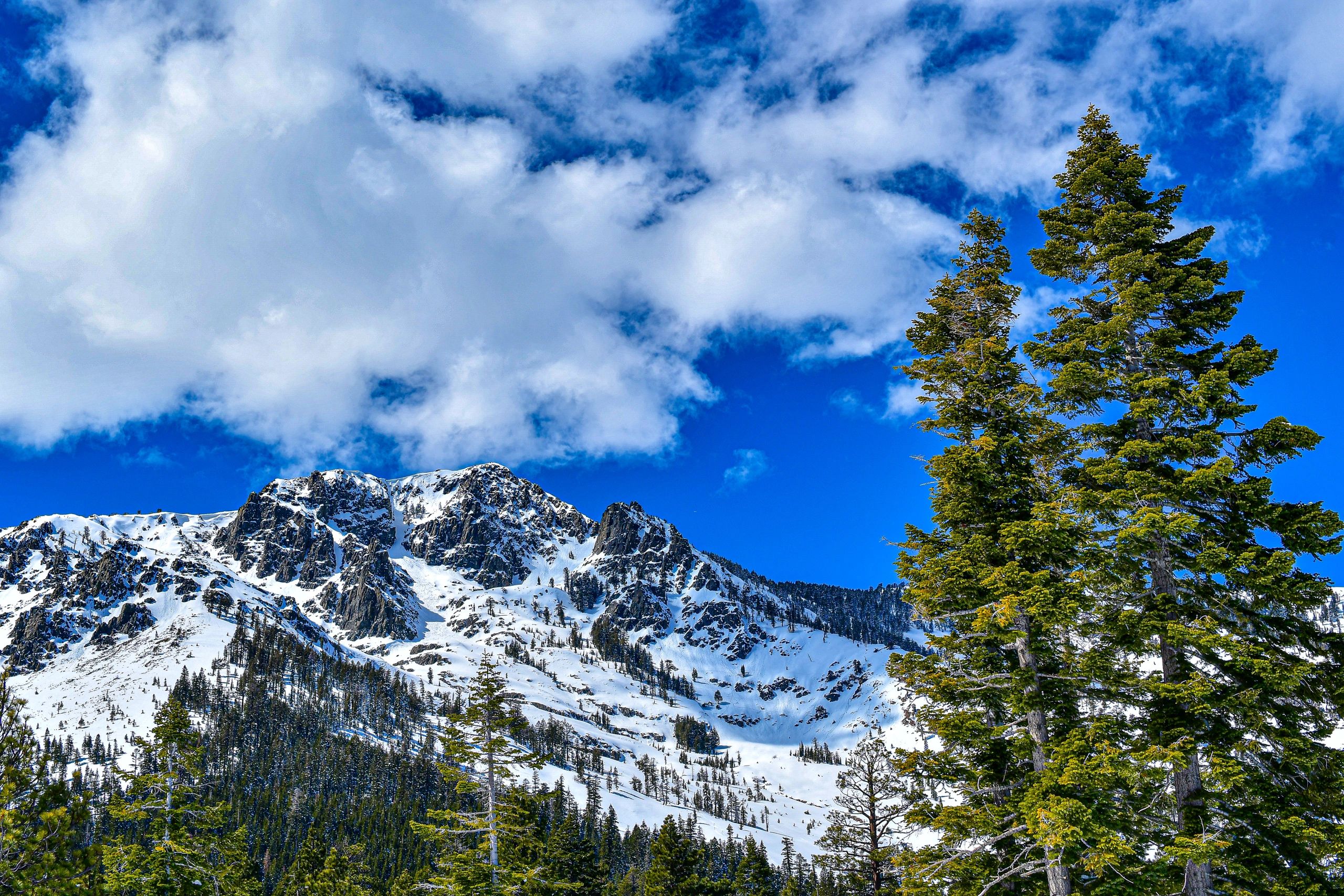 Tallac Law