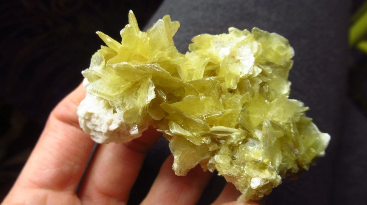 Star Mica (Brazil)