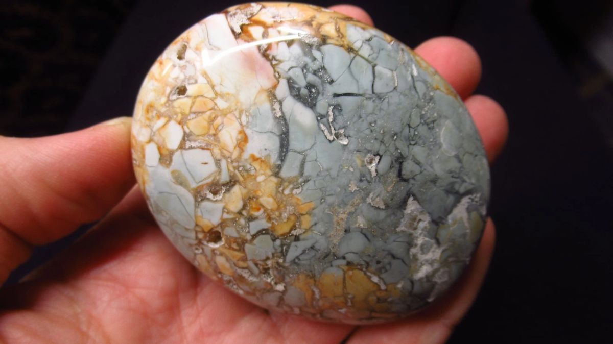 Ibis Jasper (Madagascar)