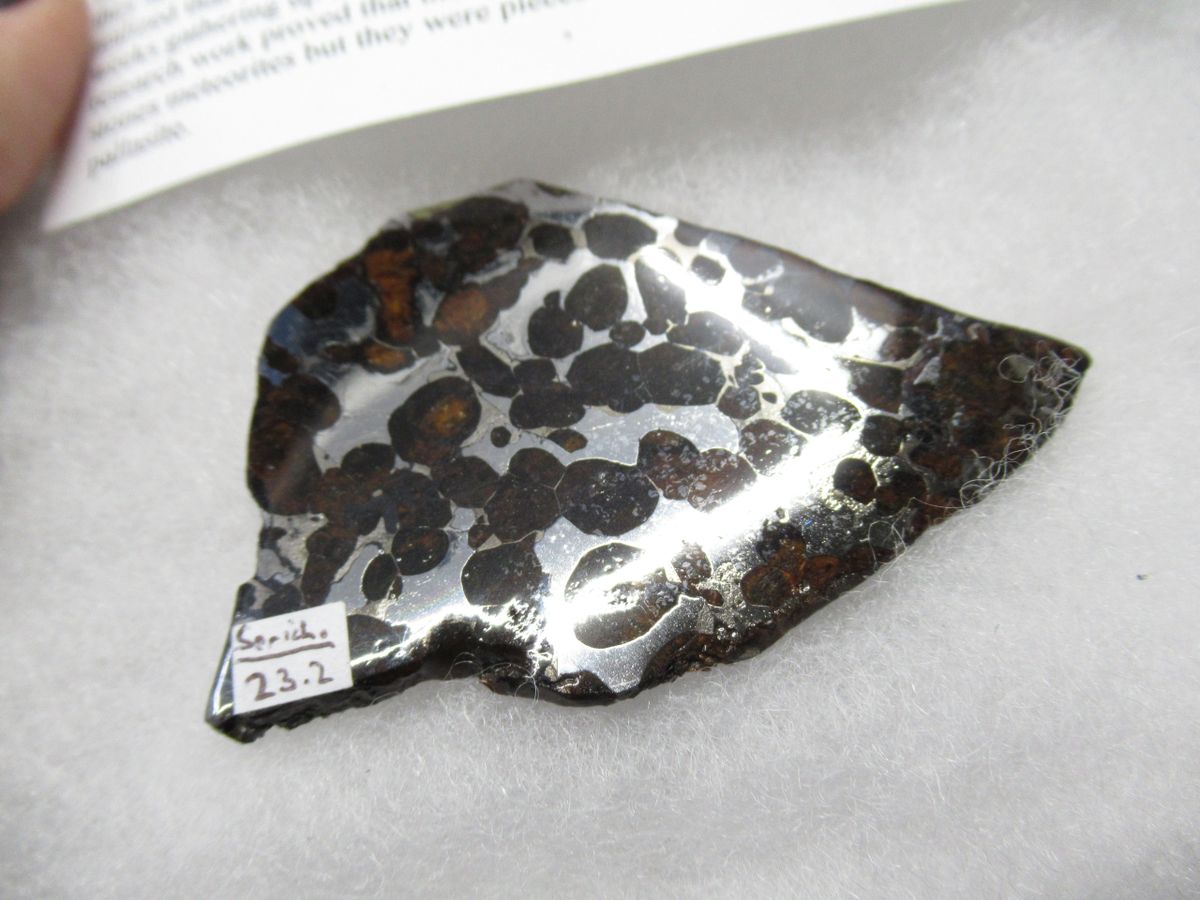 23.2gram Sericho Pallasite meteorite