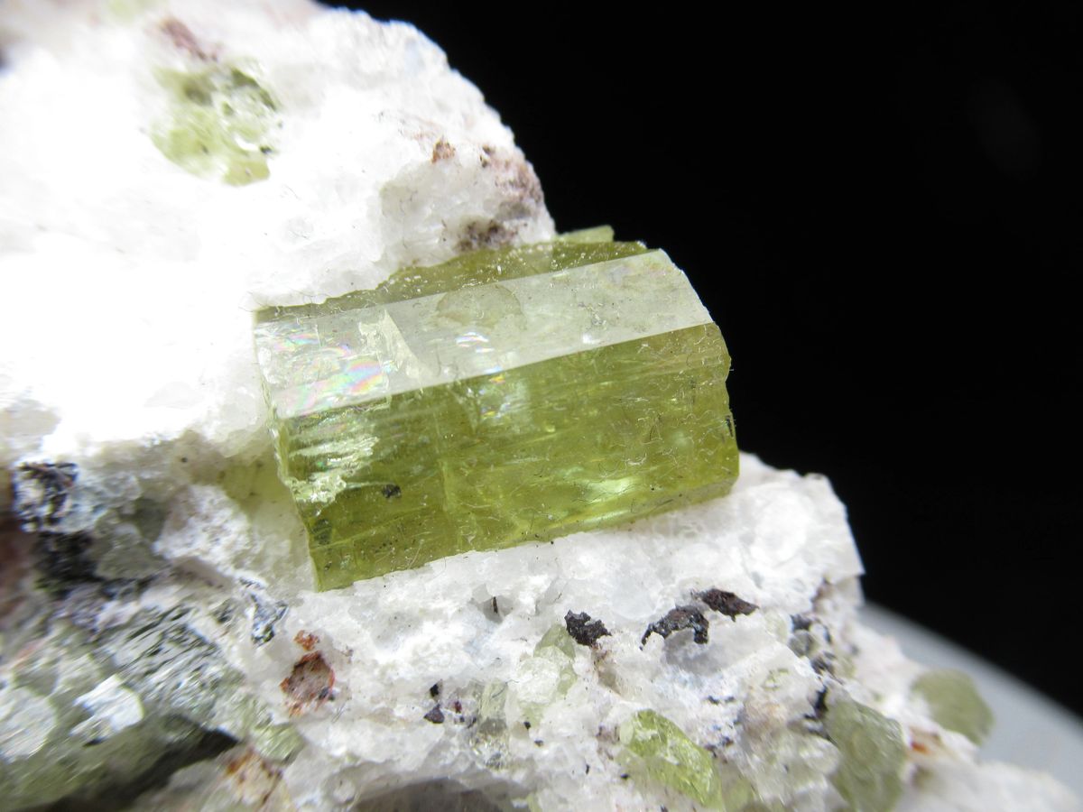 Golden Apatite in Matrix