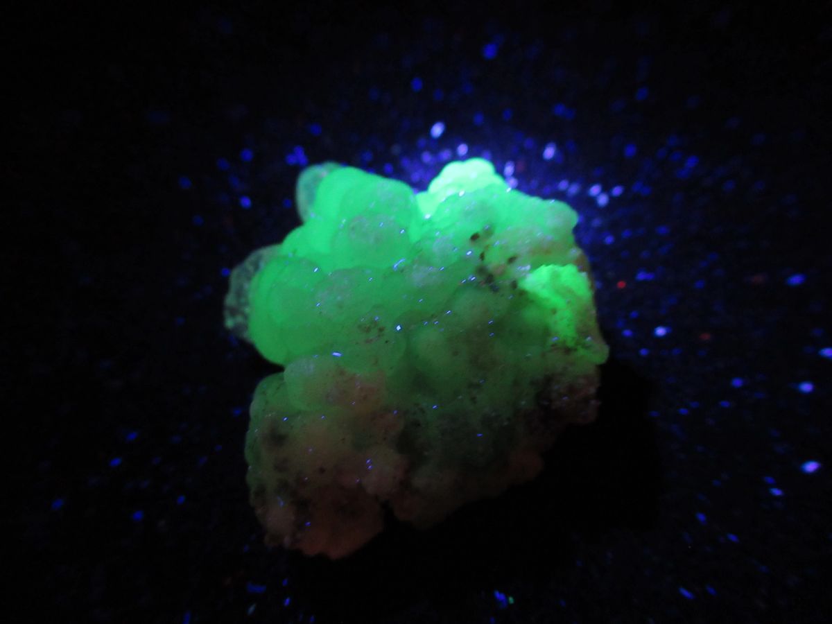 Botryoidal Fluorescent Opal (Mexico)