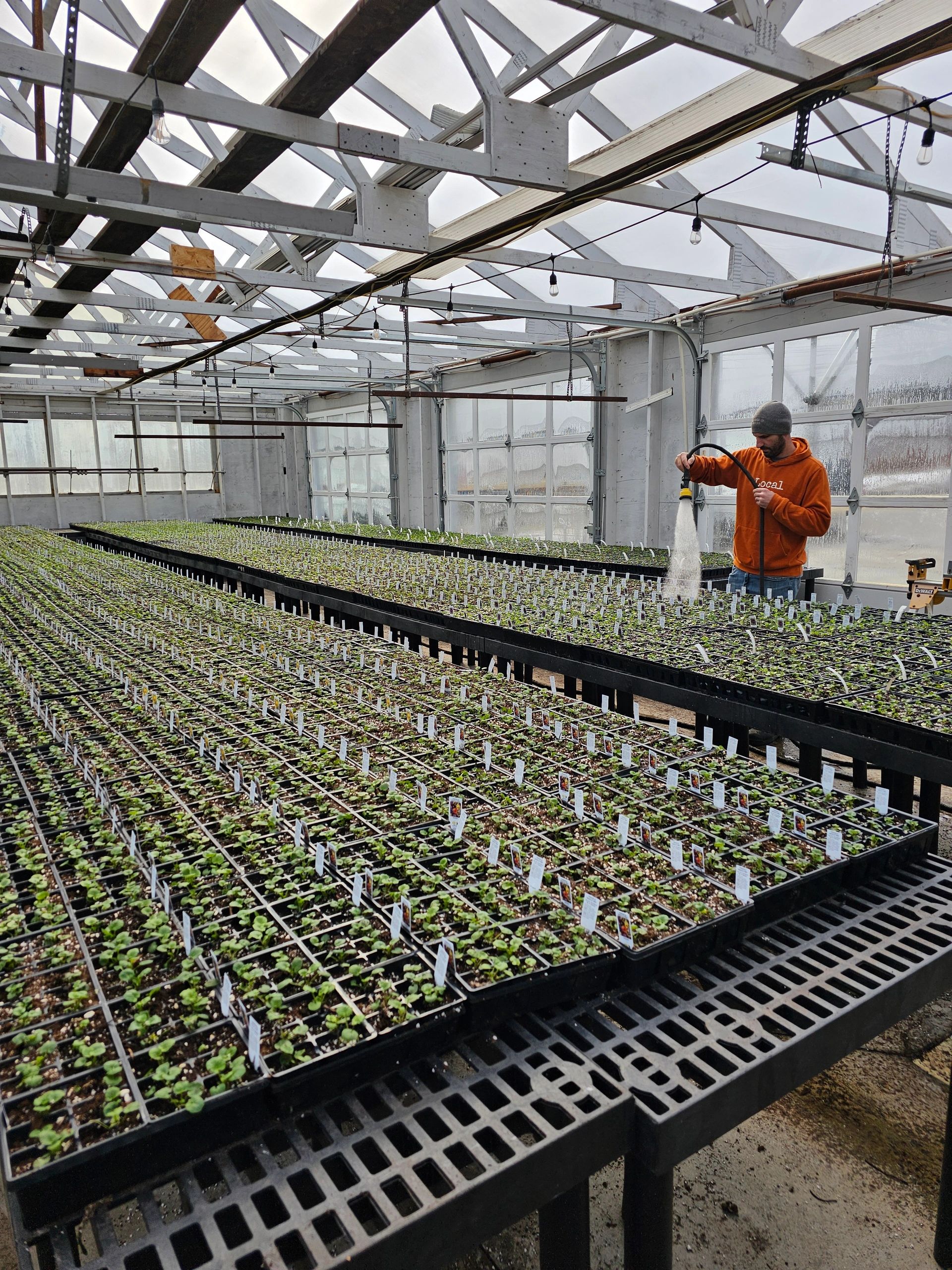 LaValley Farms - Farm, Farmers Market, Local