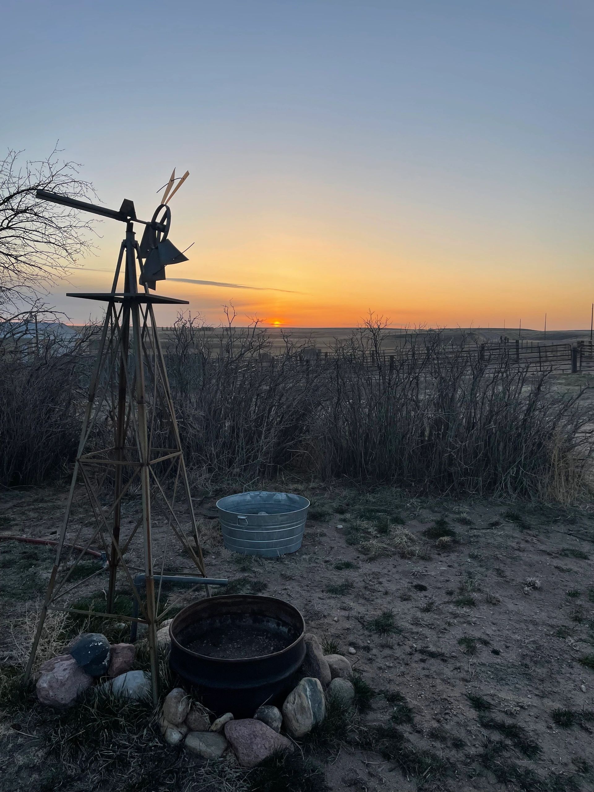 AMS Property Services