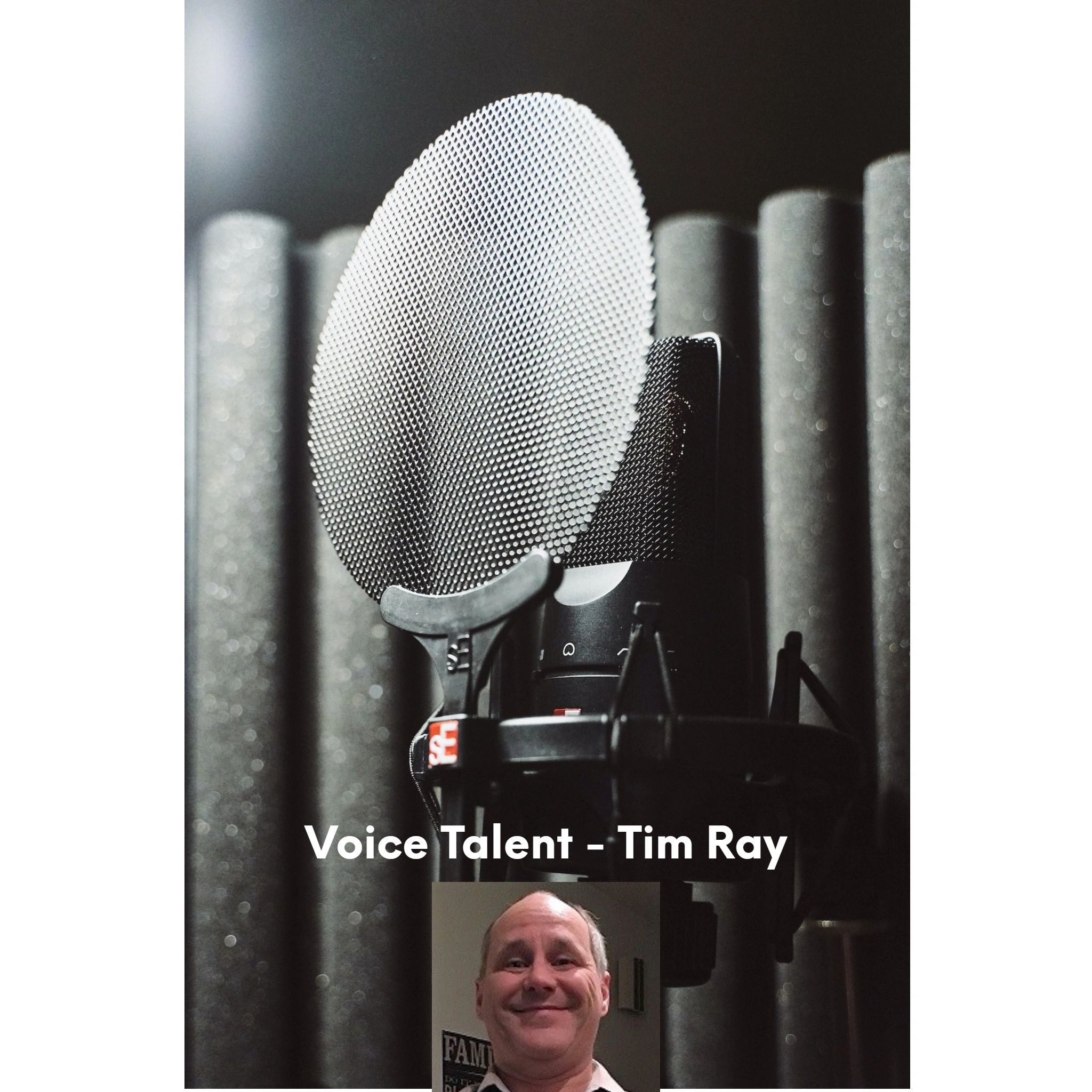 Tim Ray, Voice Over Talent Professional