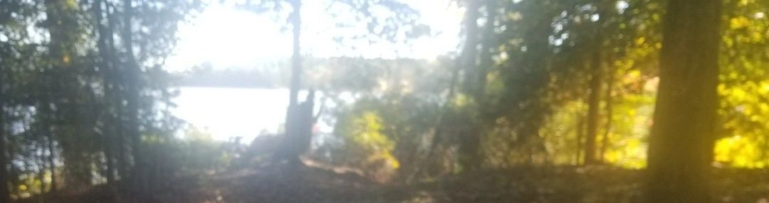 Shop | Gloucester Candle