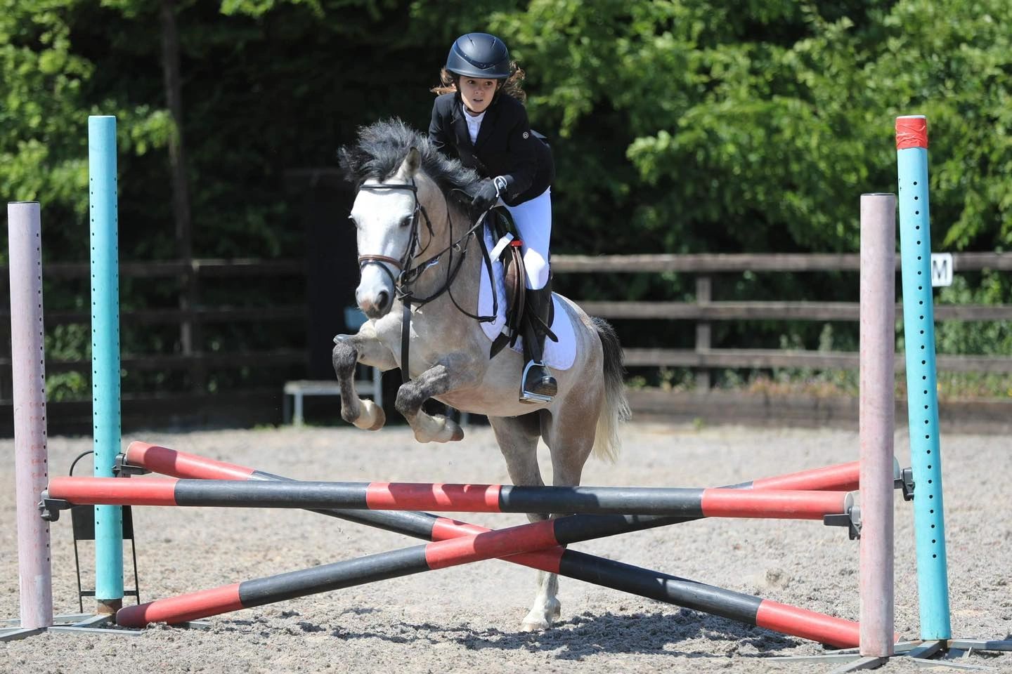The Pony Club | Liege Manor Equestrian Centre