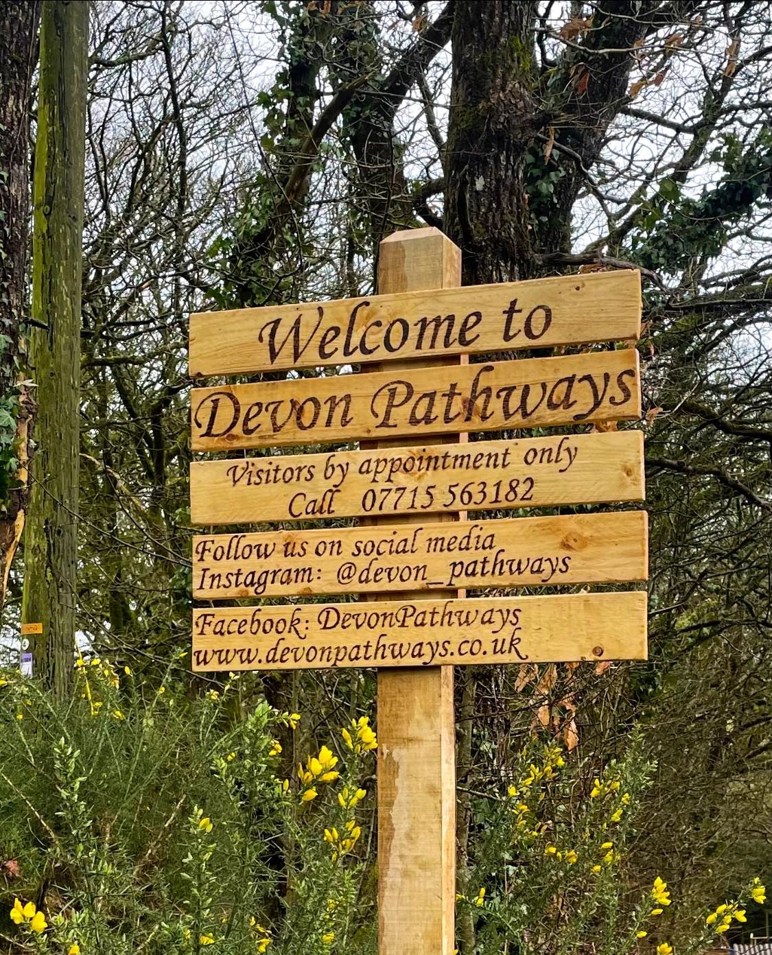 Job Vacancies | DevonPathways