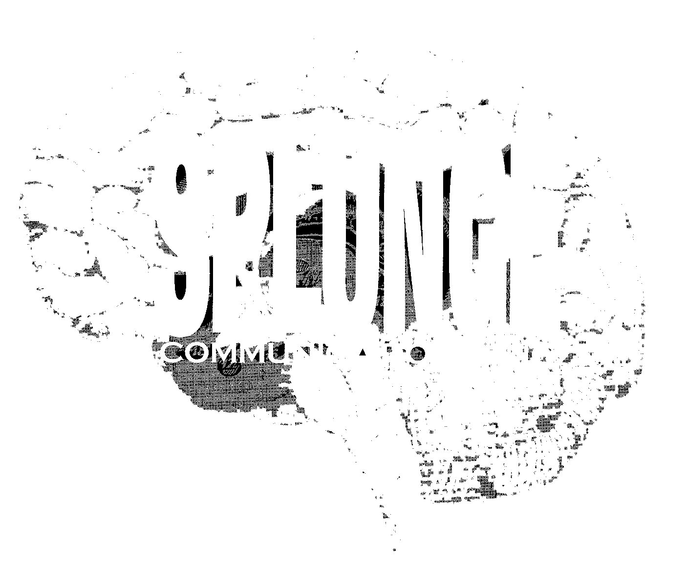 Splunge Communications, Inc. - Punk, Punk, Music, Re-Issues