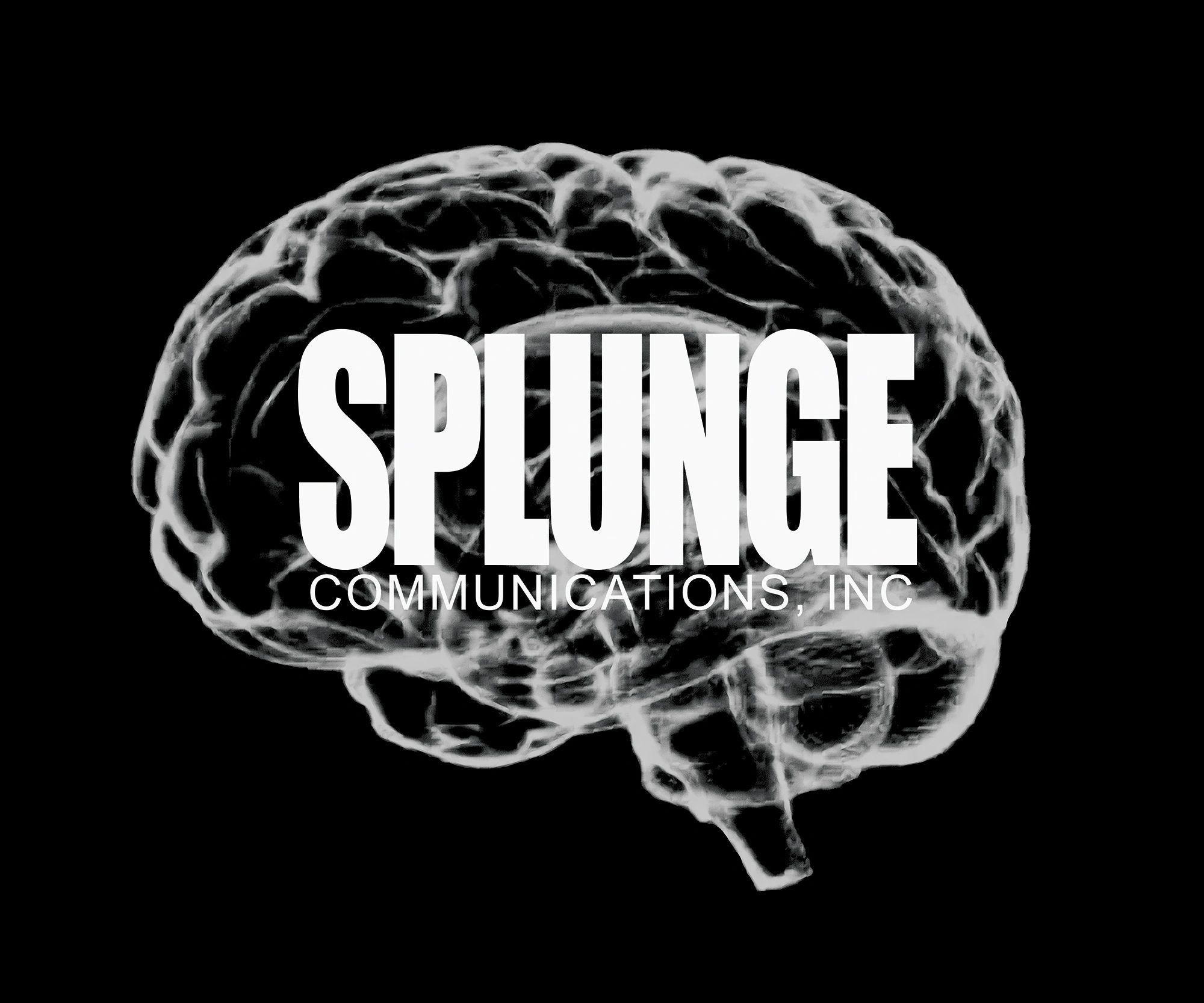 Splunge Communications, Inc. - Punk, Punk, Music, Re-Issues