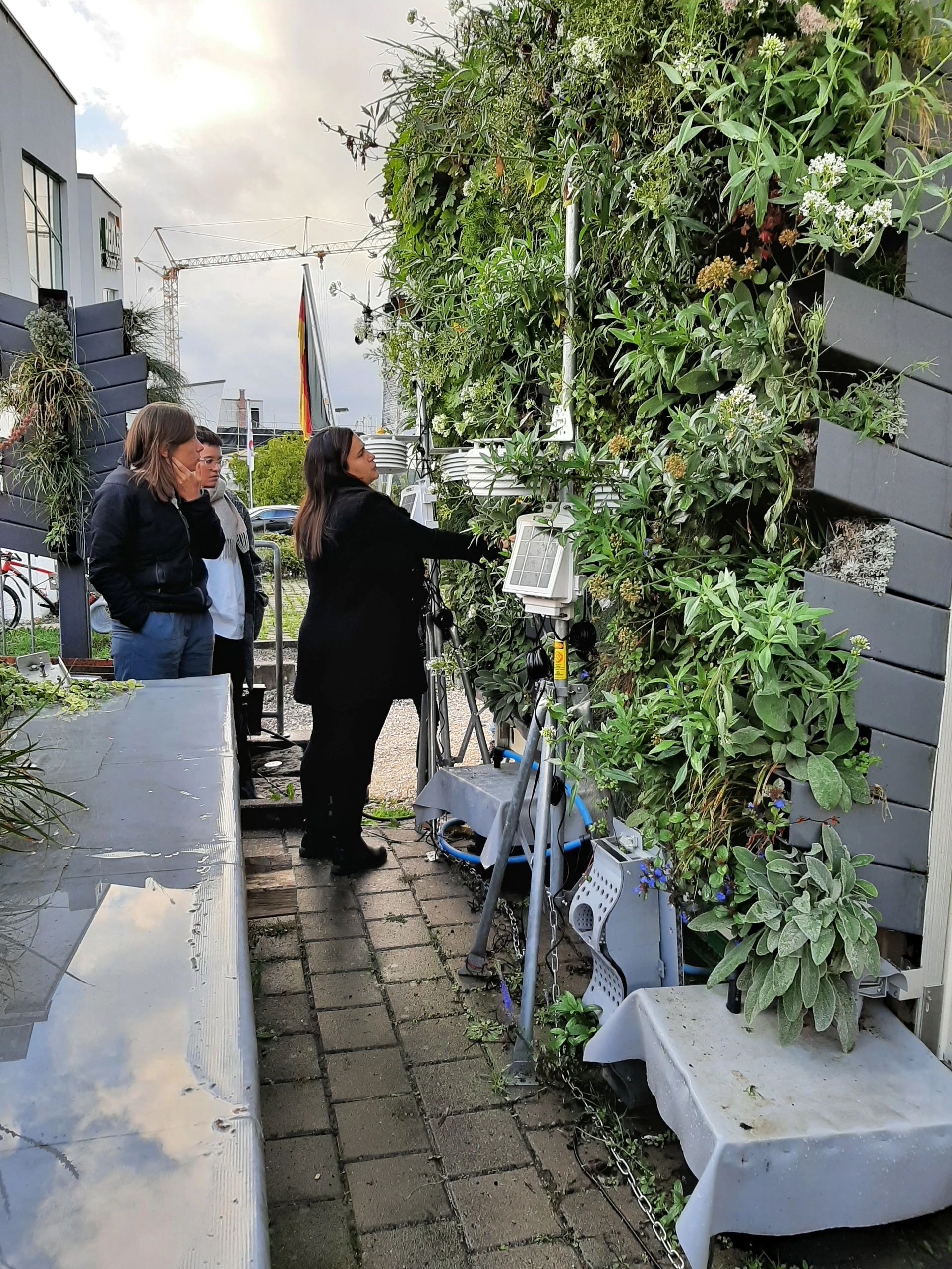 Improving urban microclimate with Green Facade System