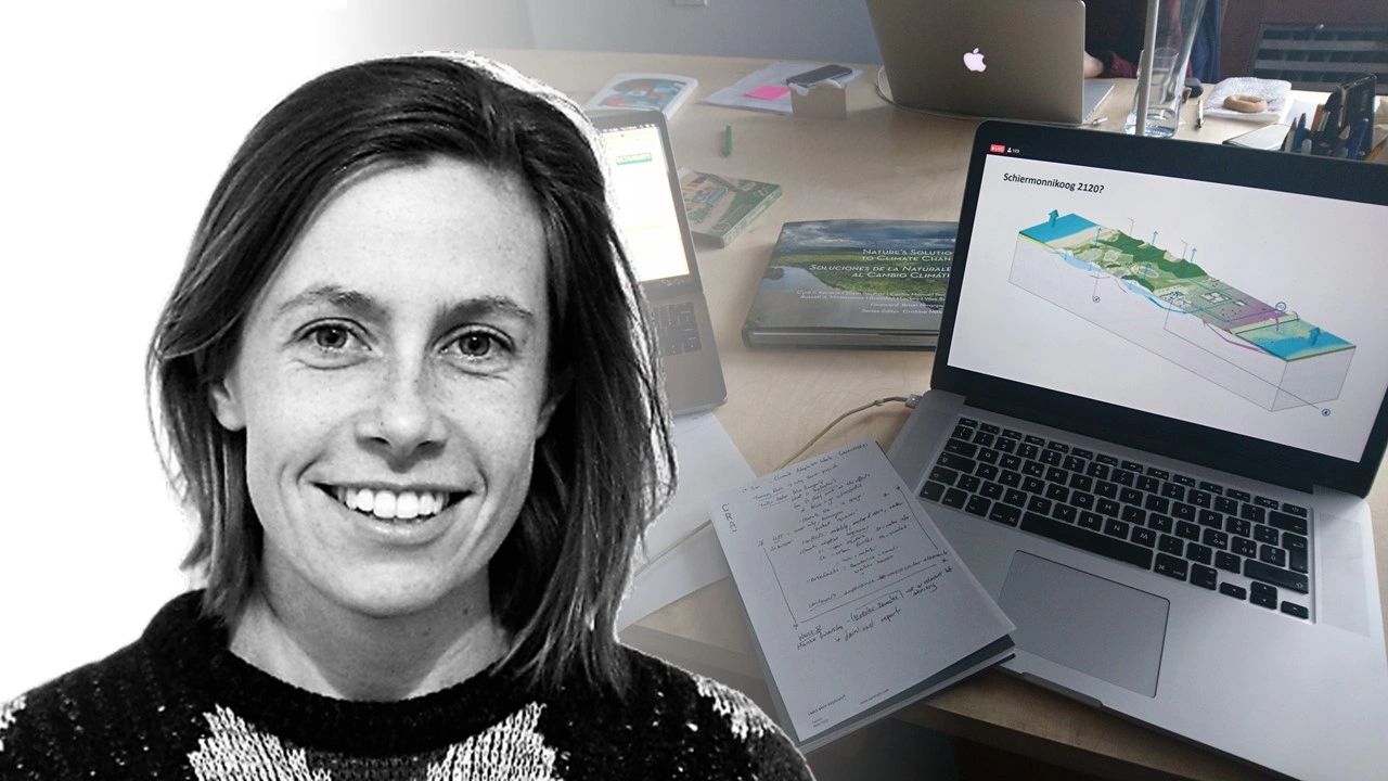 Sinéad's story - from academia to industry