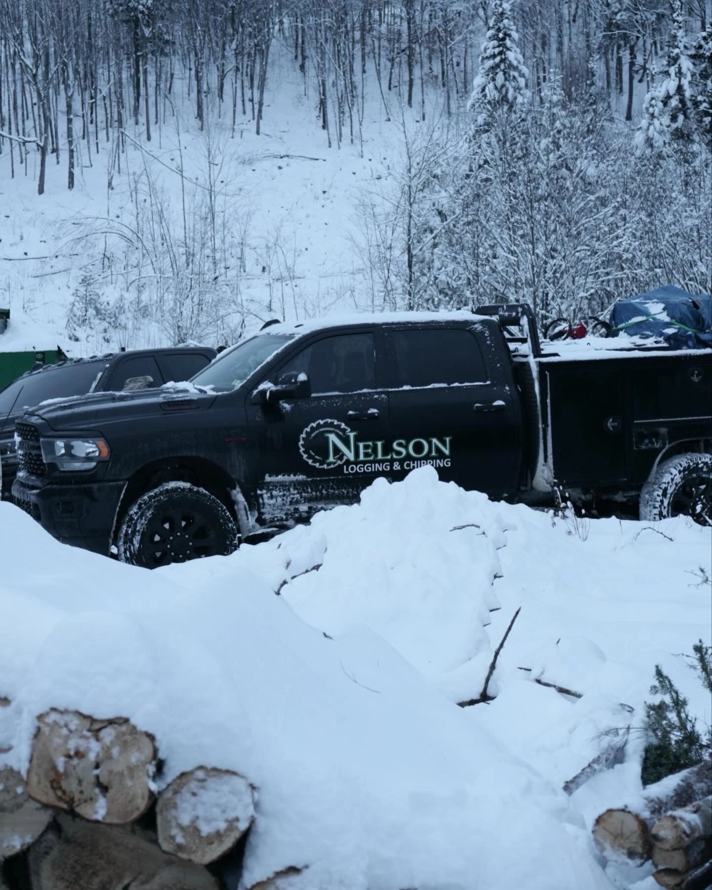 Nelson Logging and Chipping