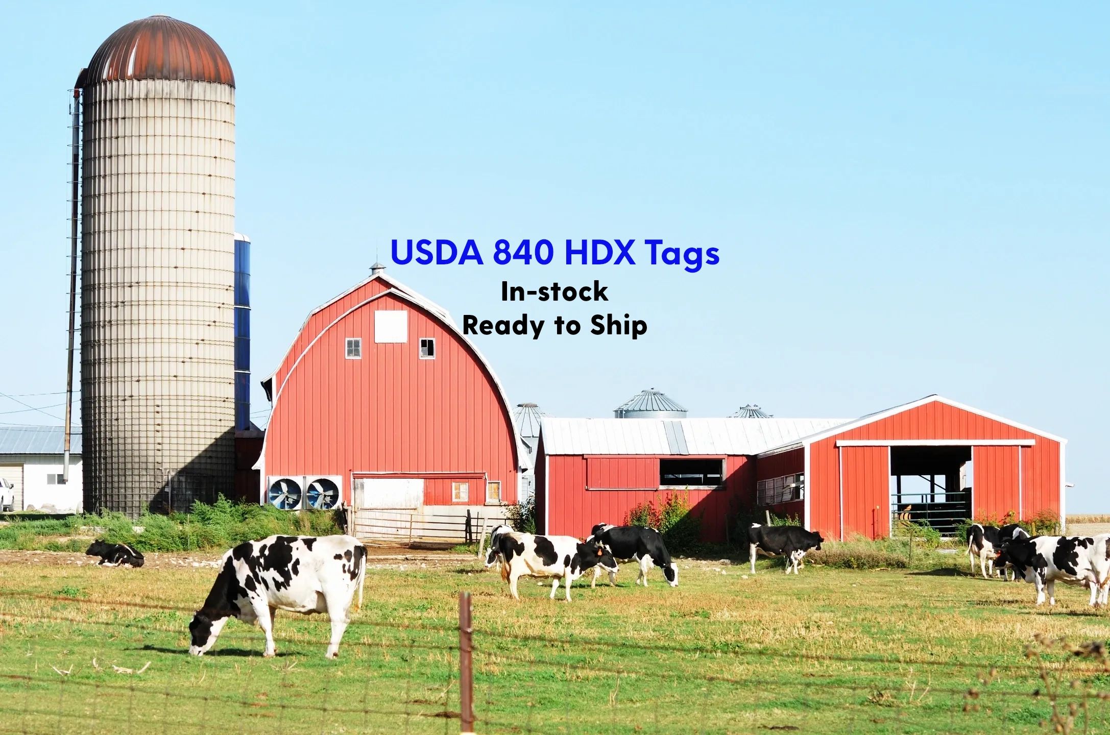 Buy USDA 840 Cattle Tags - Instock & Ready to ship