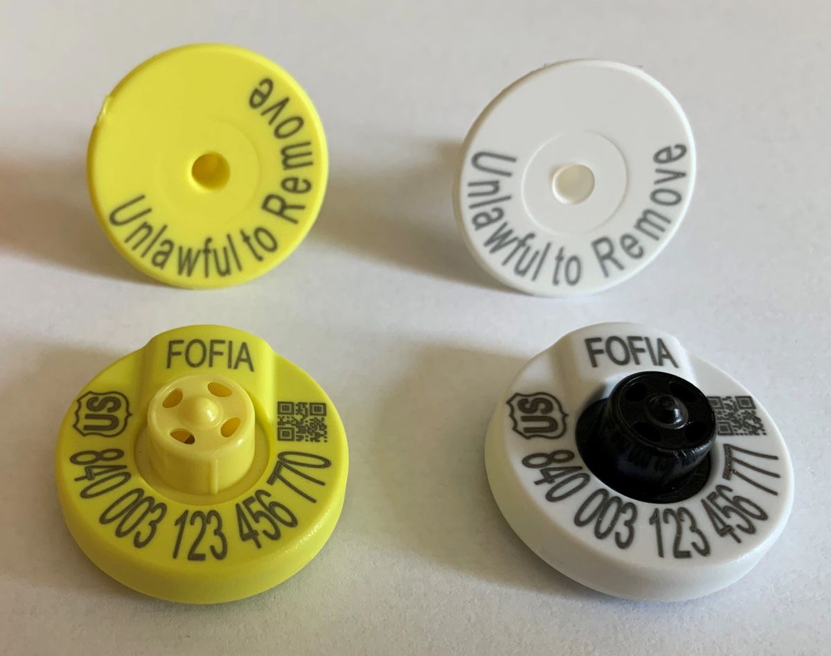 USDA 840 HDX Cattle Tag