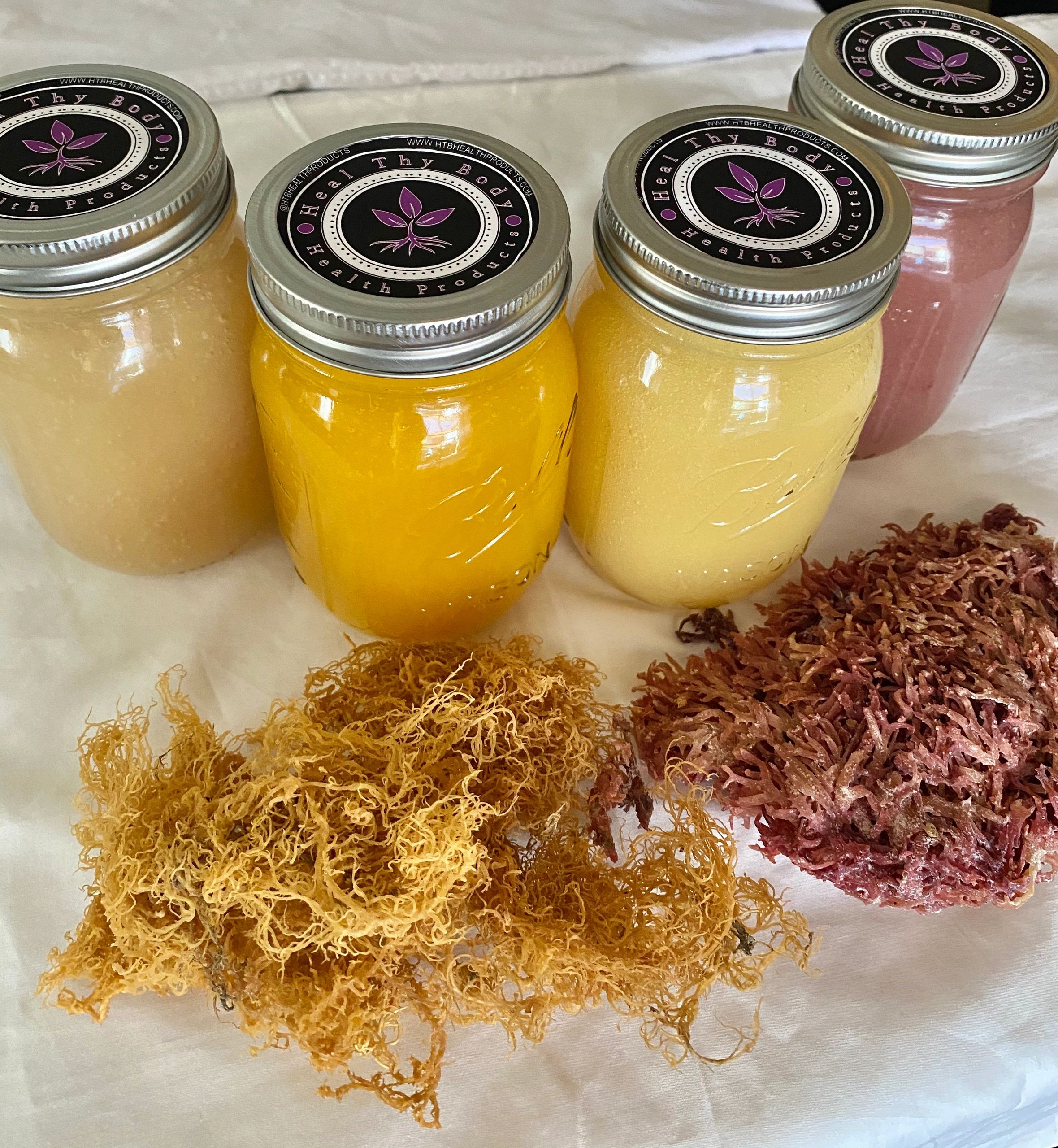 Seamoss, Sea Moss, Herbs, Health, Wildcrafted, - HTBHealthProducts