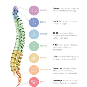 Sacral Space - Spinal Flow, Spinal Flow Technique