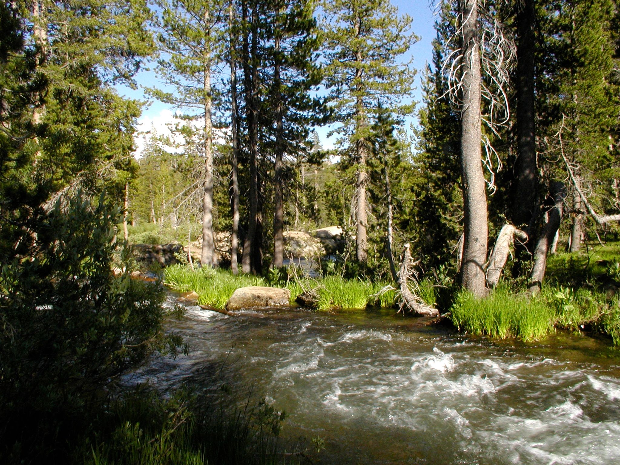 First Mace Meadow Water Association - Providing Quality Water Services