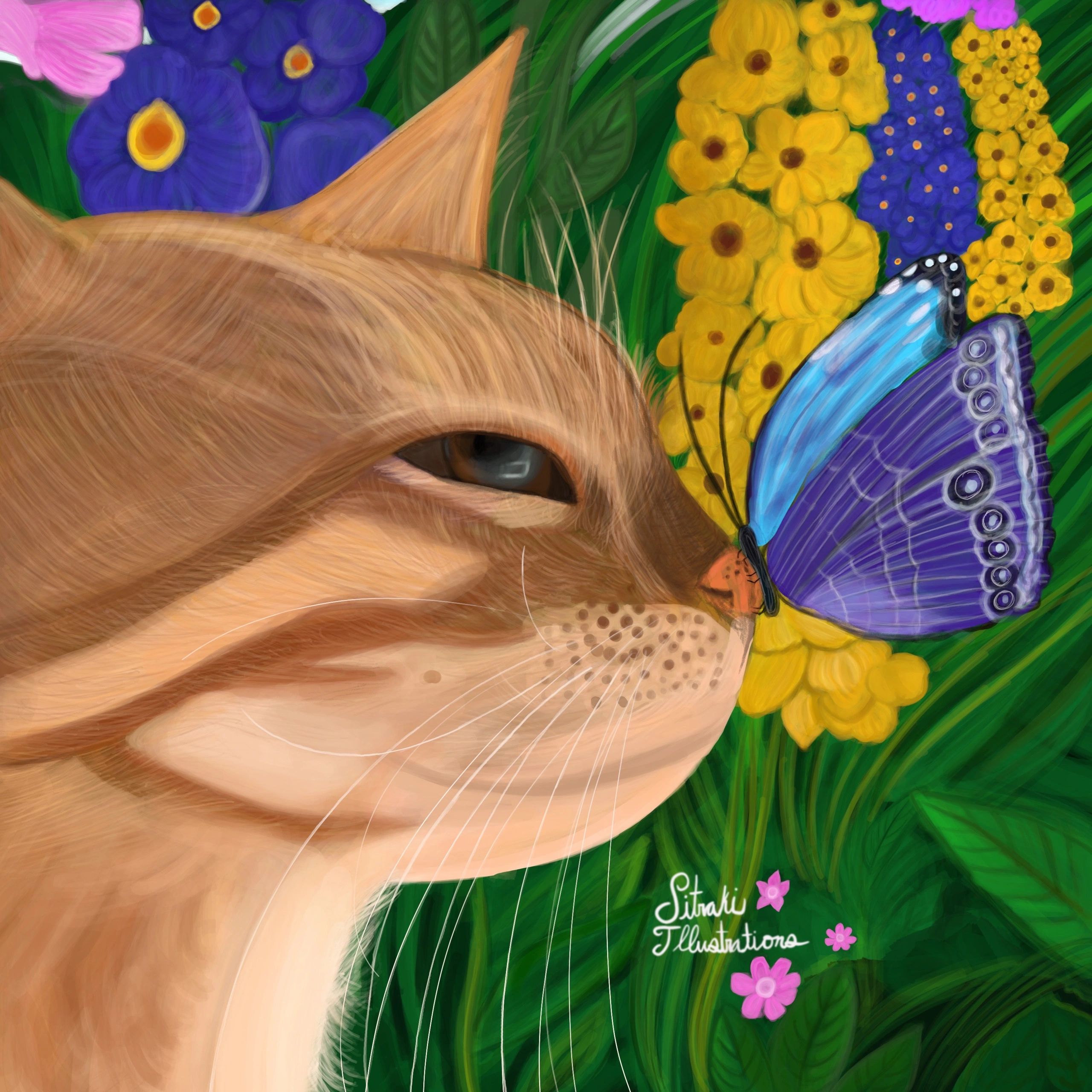 www.sitrakiillustrations.com