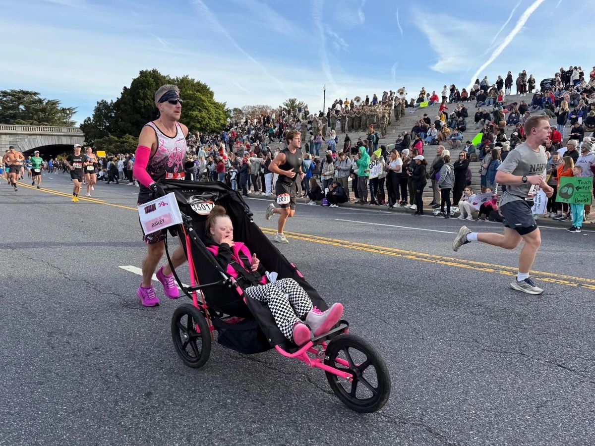 Phoenix Push Chair