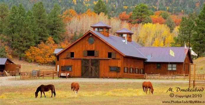 Unbridled Spirit Recovery Ranch