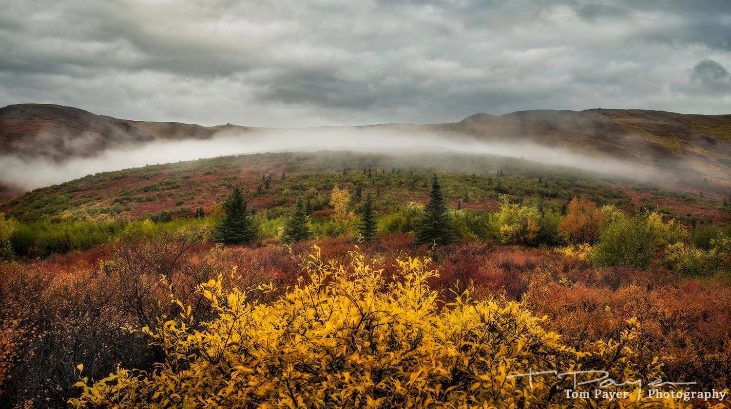 Alaska Camera Rental & Printing