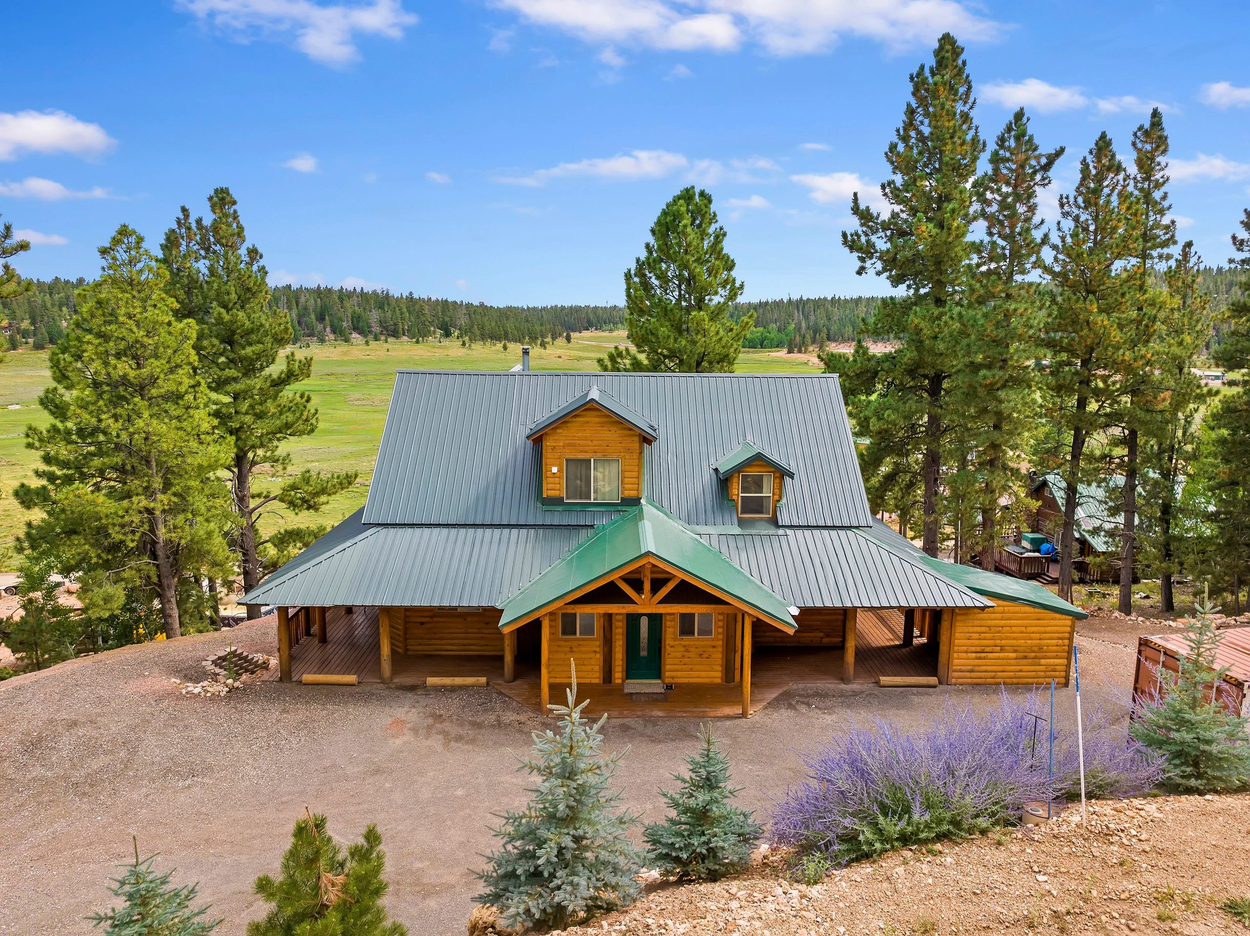 Rustic Moose Cabin
