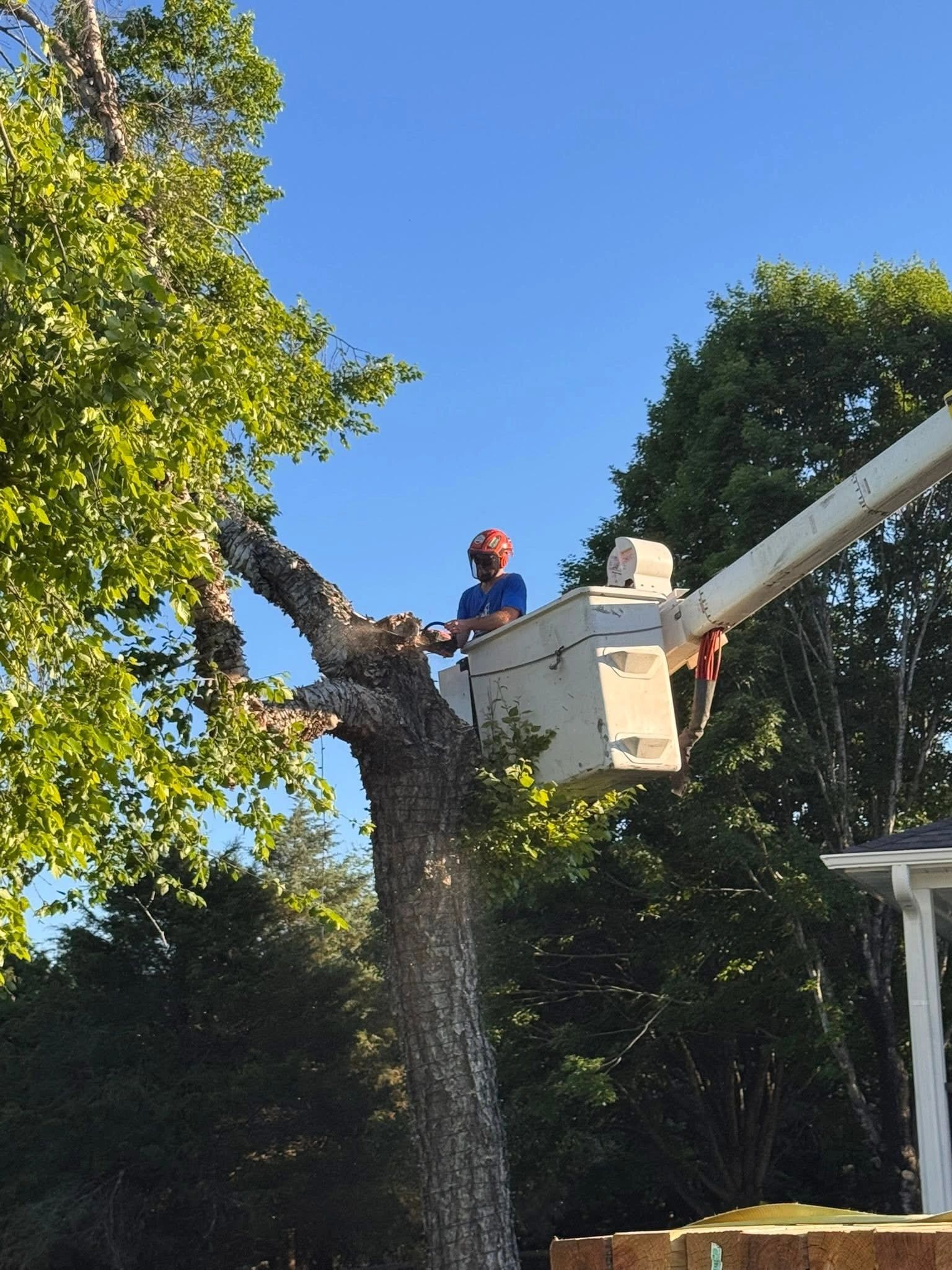 New Heights Tree Service LLC
