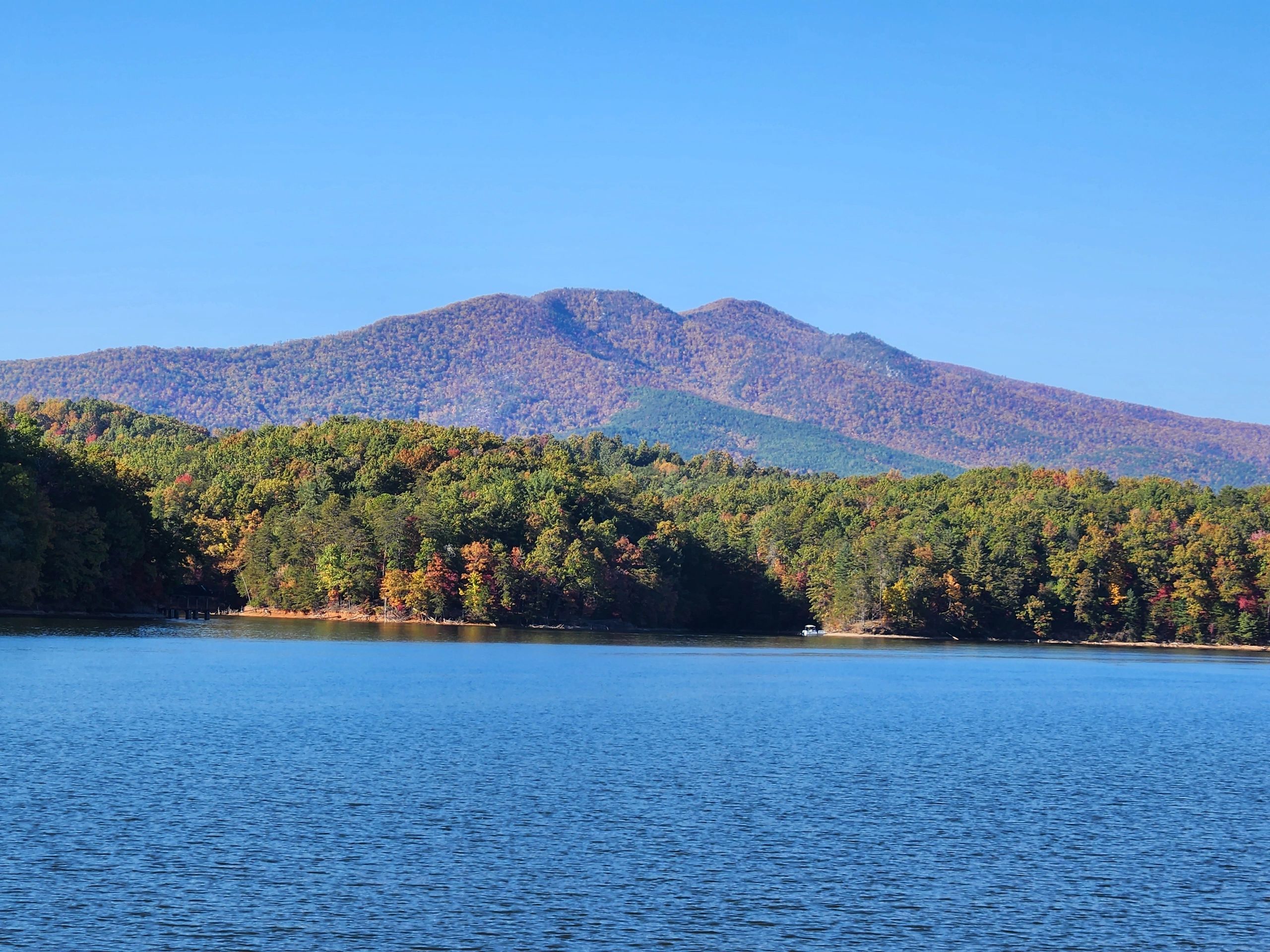 Documents to Download