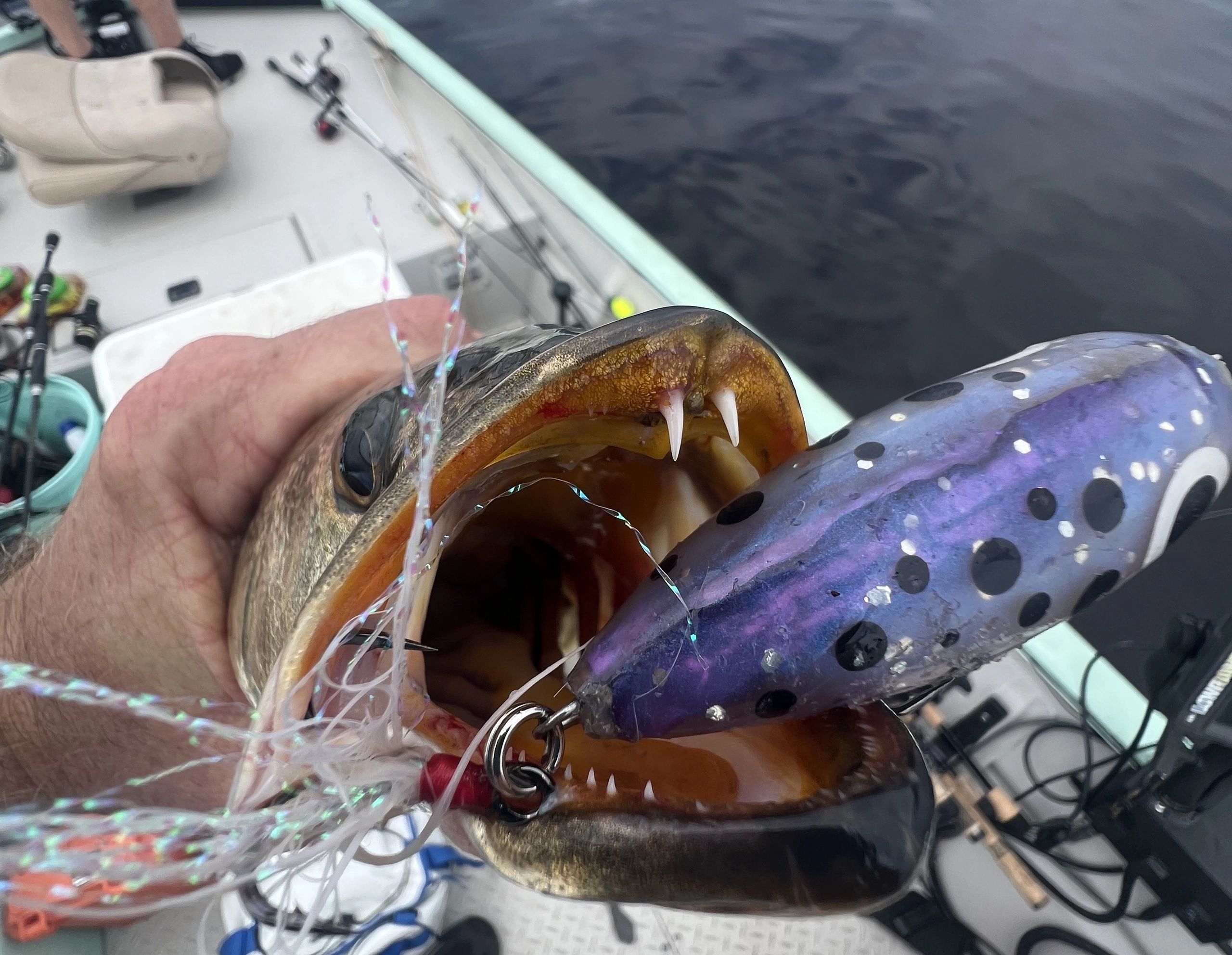 Top Twitch Baits for Spotted Seatrout and Red Fish