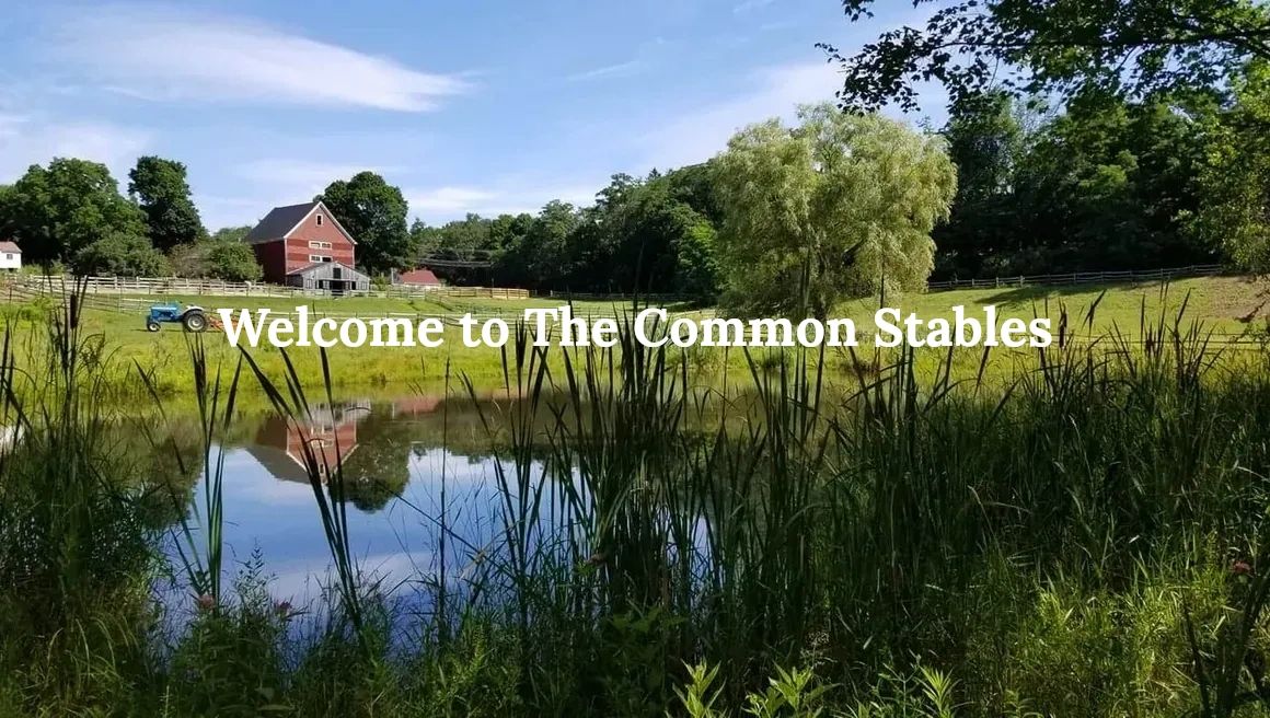 The Common Stables - Home
