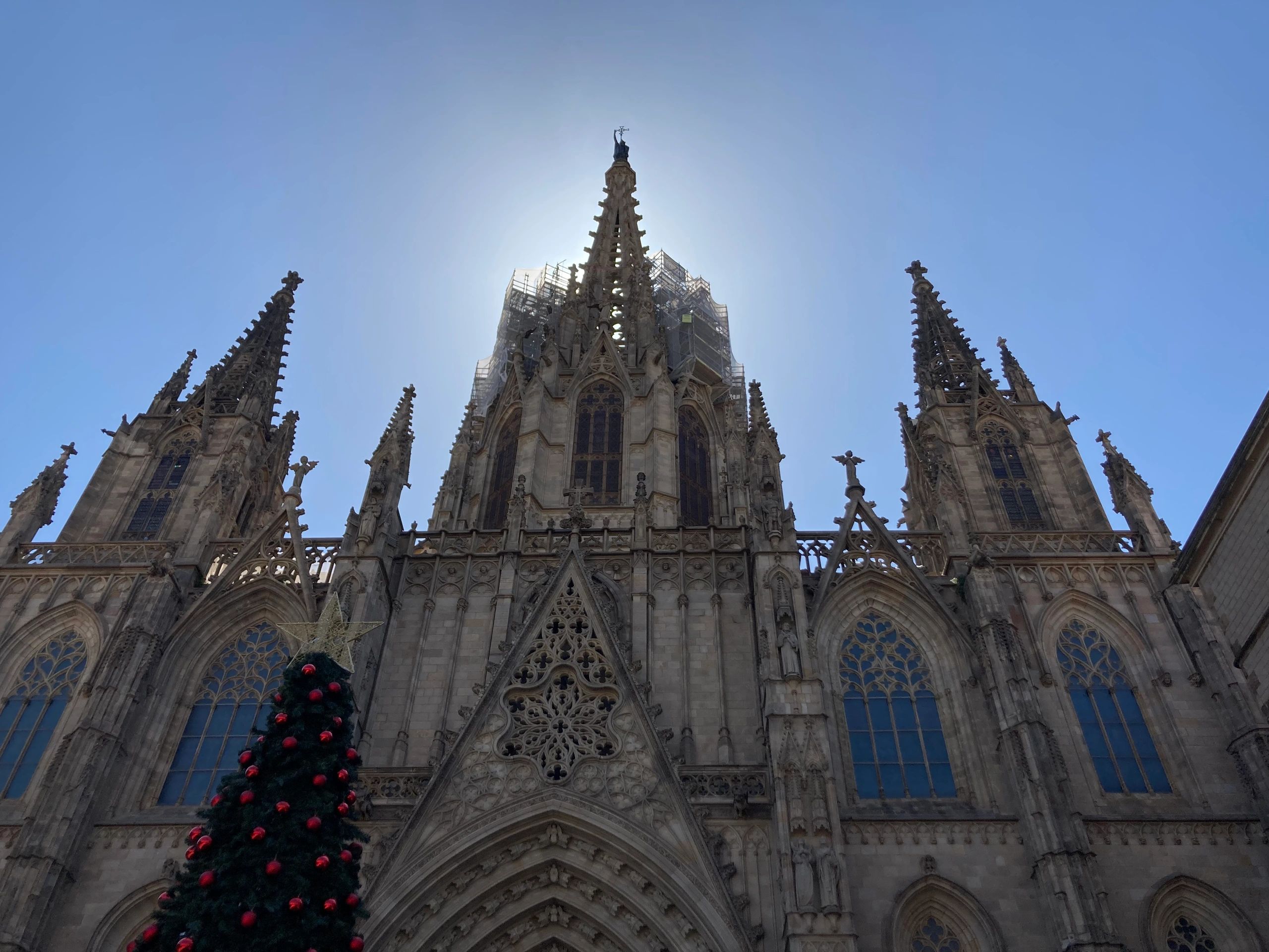 About Joseph Terrana