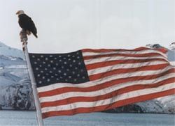 A J Wildman for Maryland US Senate - Home