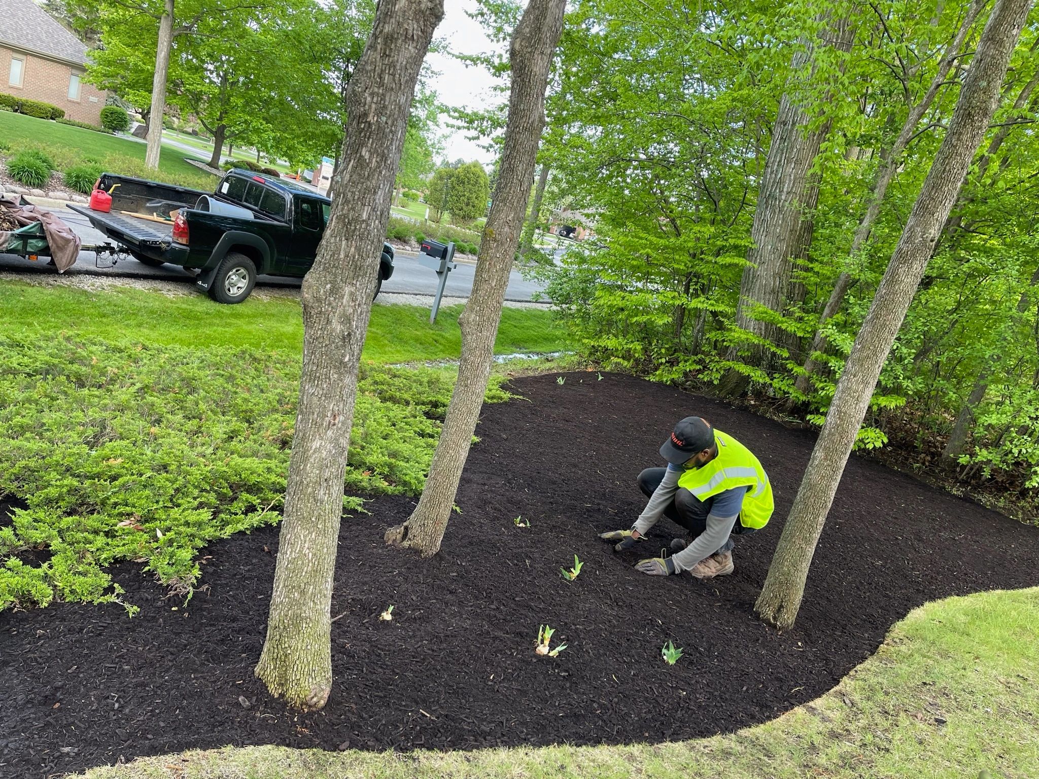 Strong Arm Services LLC