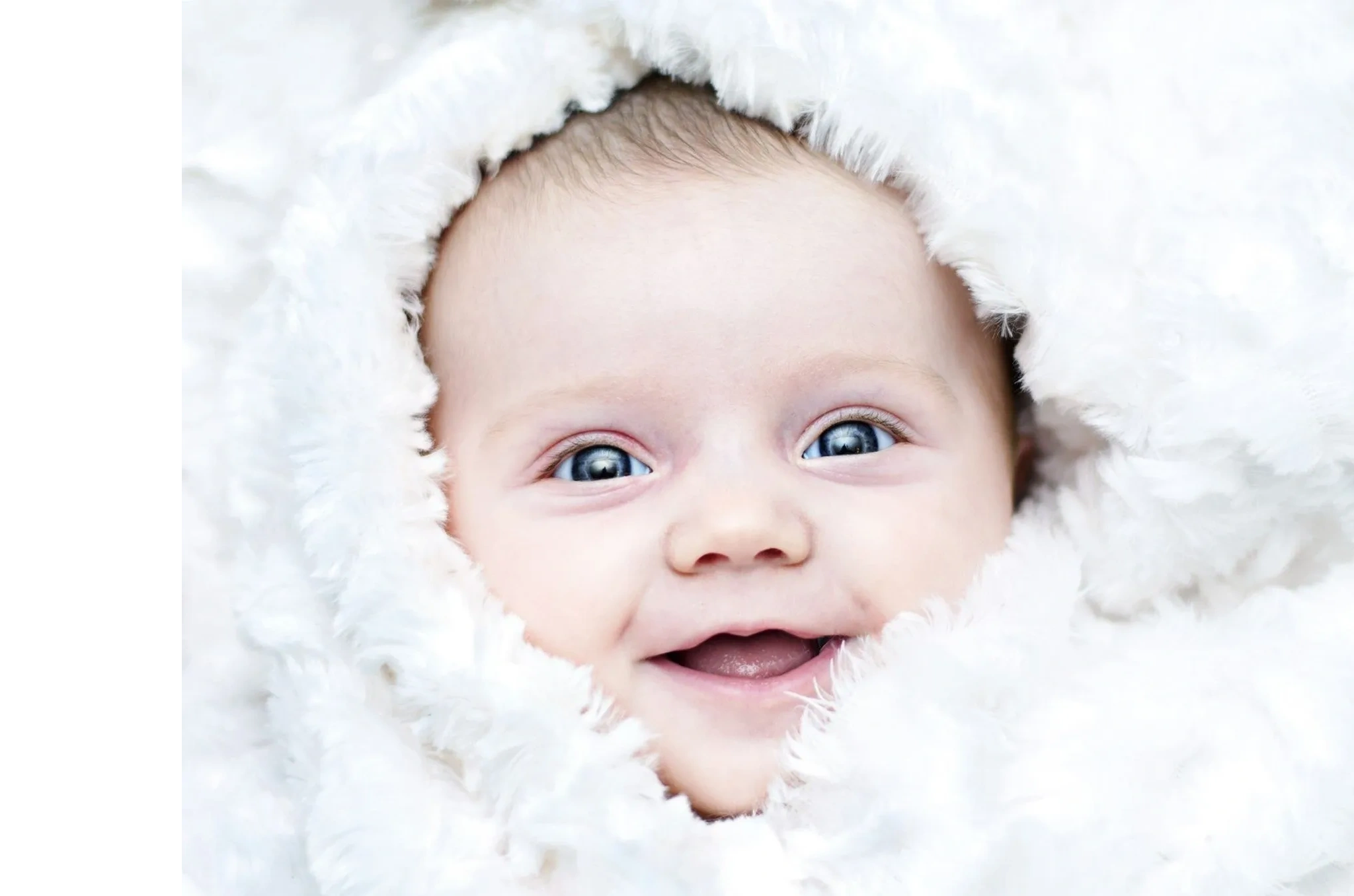 Lawrence County Right To Life
