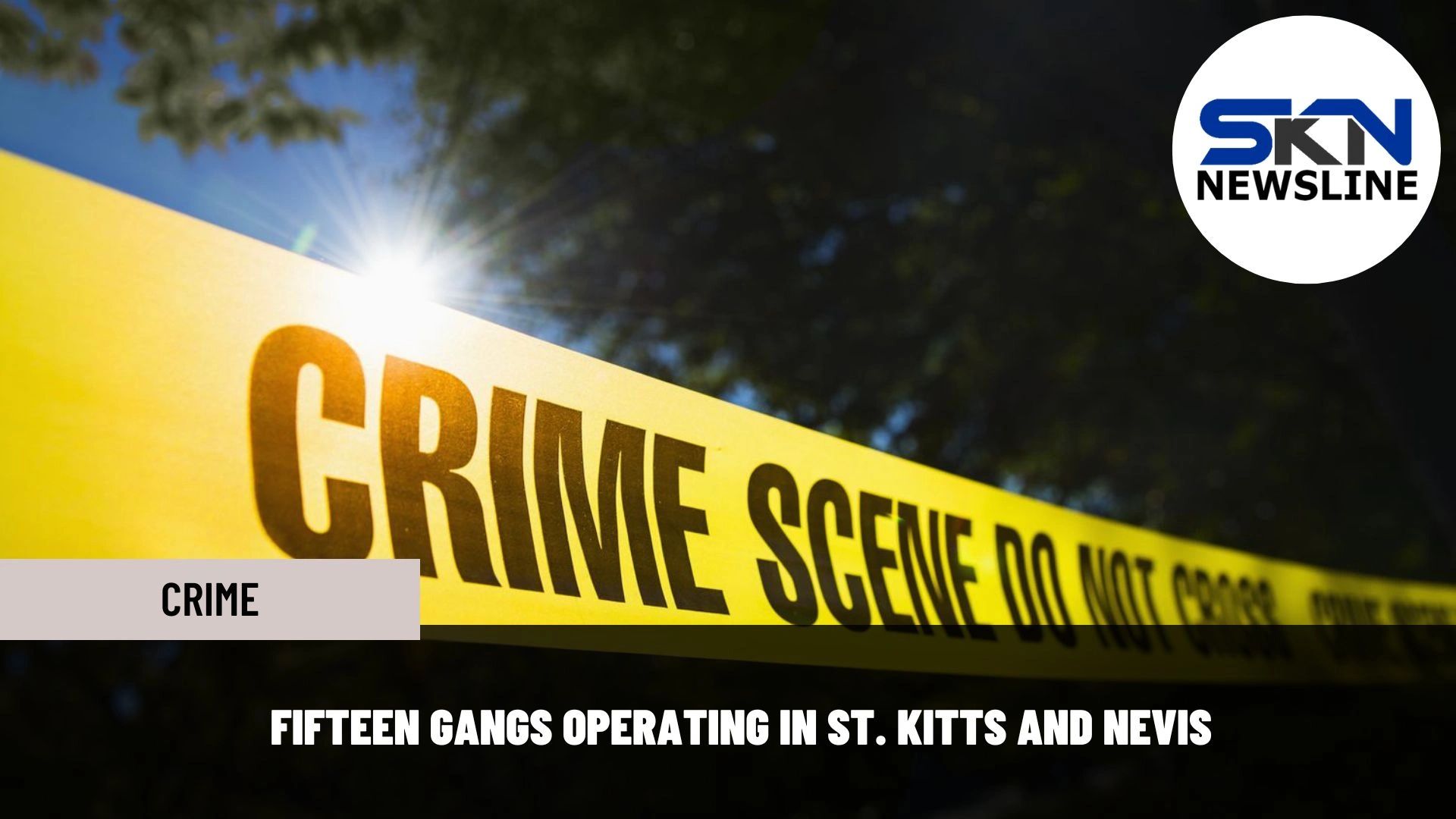 FIFTEEN GANGS OPERATING IN ST. KITTS AND NEVIS