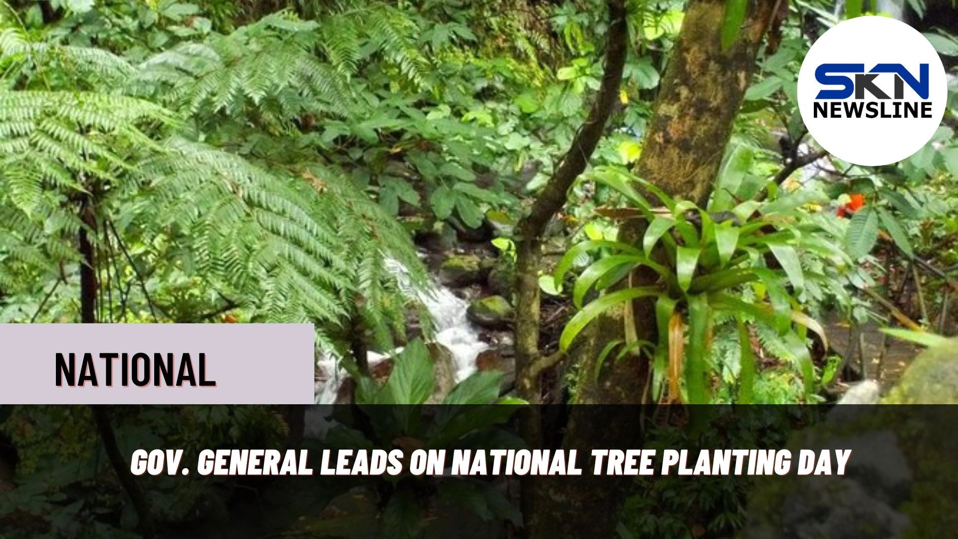 GOV. GENERAL LEADS ON NATIONAL TREE PLANTING DAY