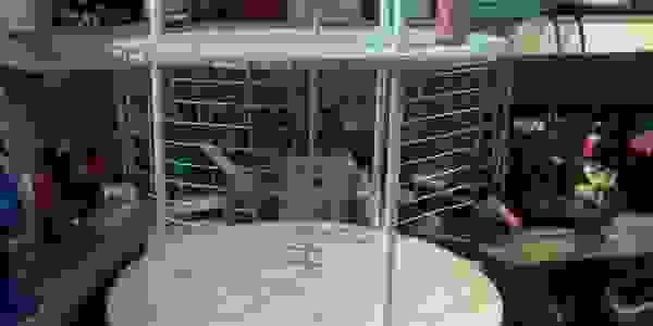 How to make rabbit traps | Wood's Weir Creek Beagles