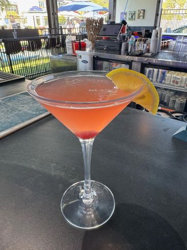 Sports Bar in St. Pete with Dog Water Park - Mutts & Martinis