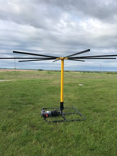 Primetime Genetics - Show Lambs, Club Lambs