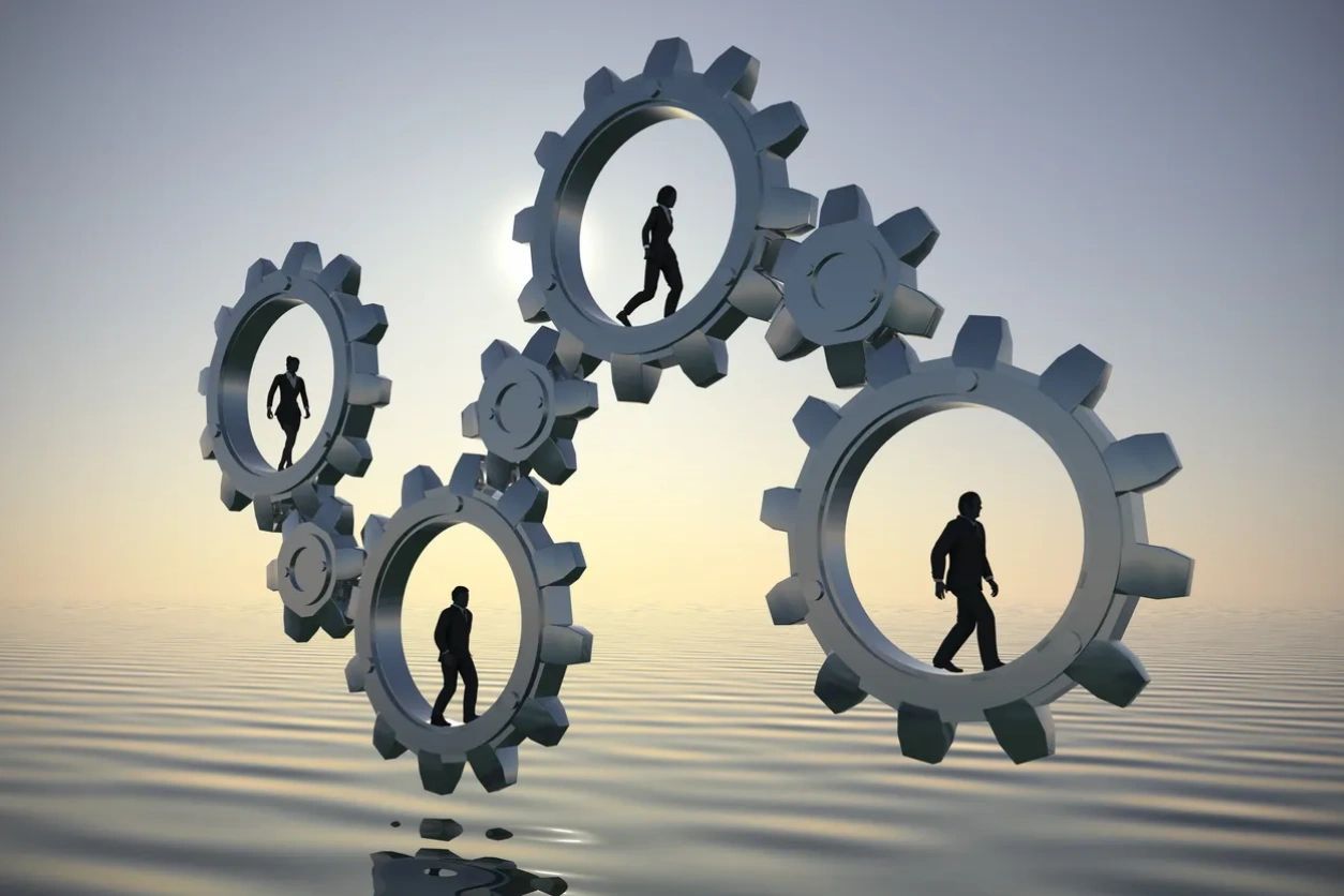 Efficacité Opérationnelle - EO Conseils