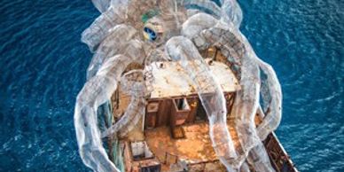 Kodiak Queen | Beyond The Reef