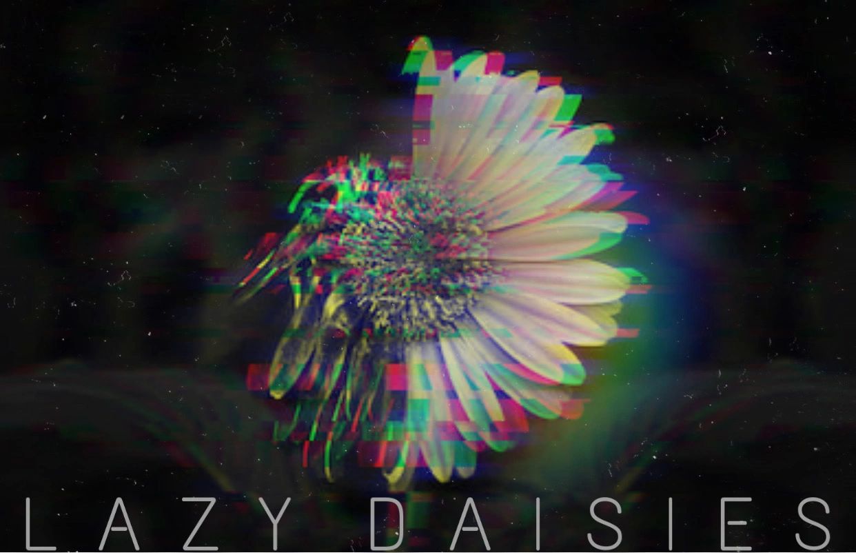 Lazy Daisies - Live Music - Sarasota, Florida