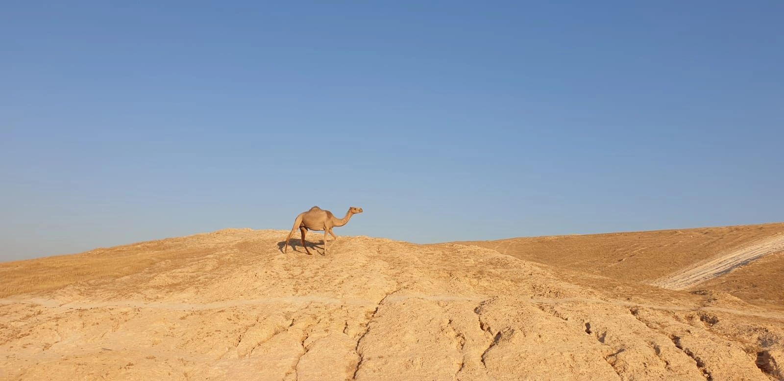 Get Invloved | Envirst