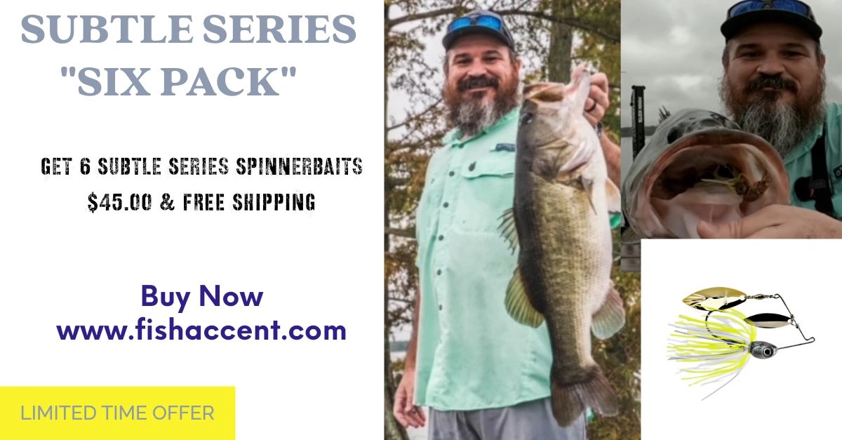 Bass Fishing Lures - Accent Fishing Products