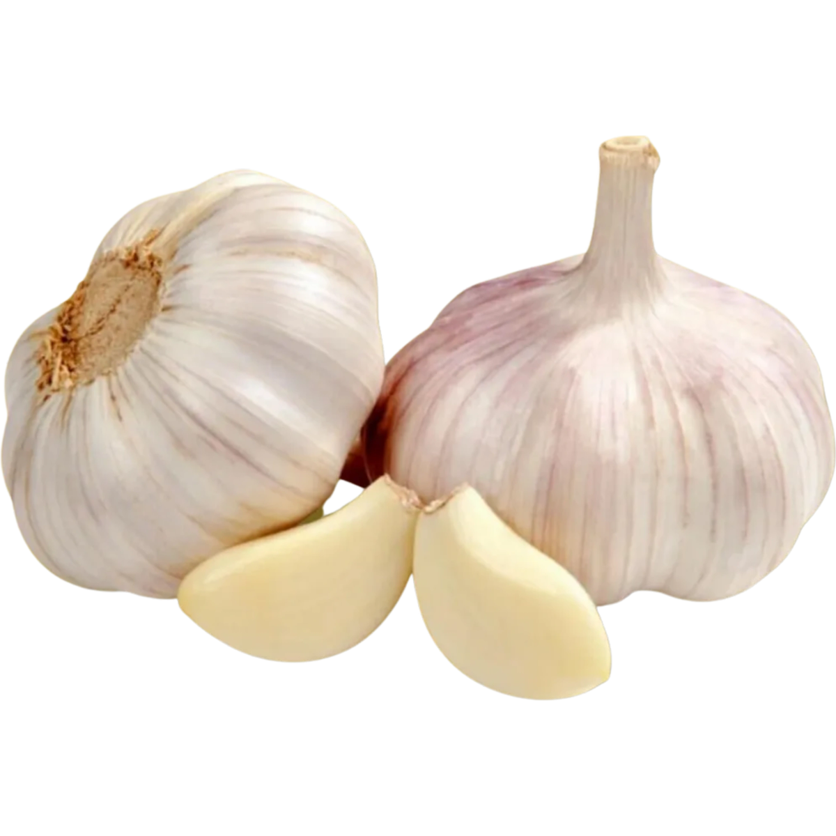 1-pound-of-garlic-bulbs