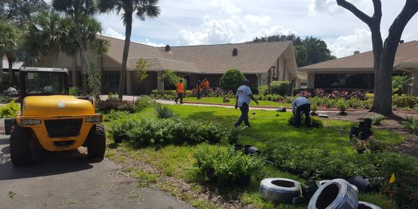 Landscape Design - Dameron Designs