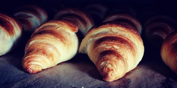 Wholesale | The Bread Guy